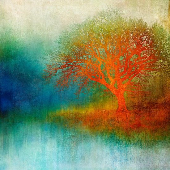 Mark Munroe-Preston Treescape Art - New Artist at Vitreus Art